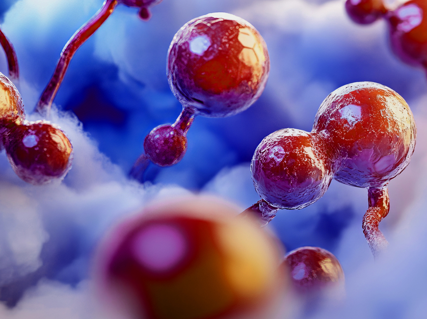 33469/33521 - Blastomyces qPCR (Lower respiratory) & Blastomyces qPCR ...