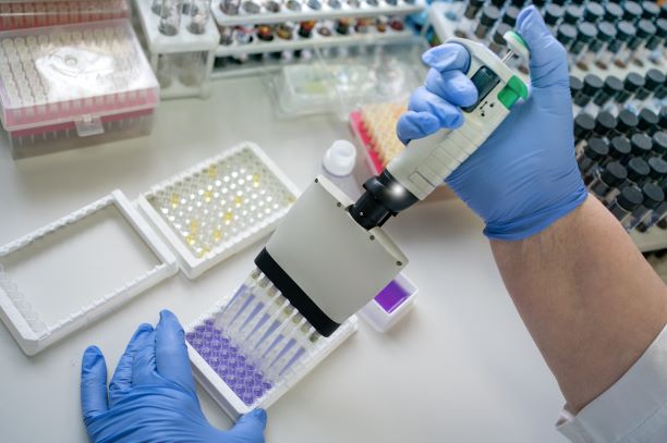 EVB Cell-based assays EVB Cell-based assays